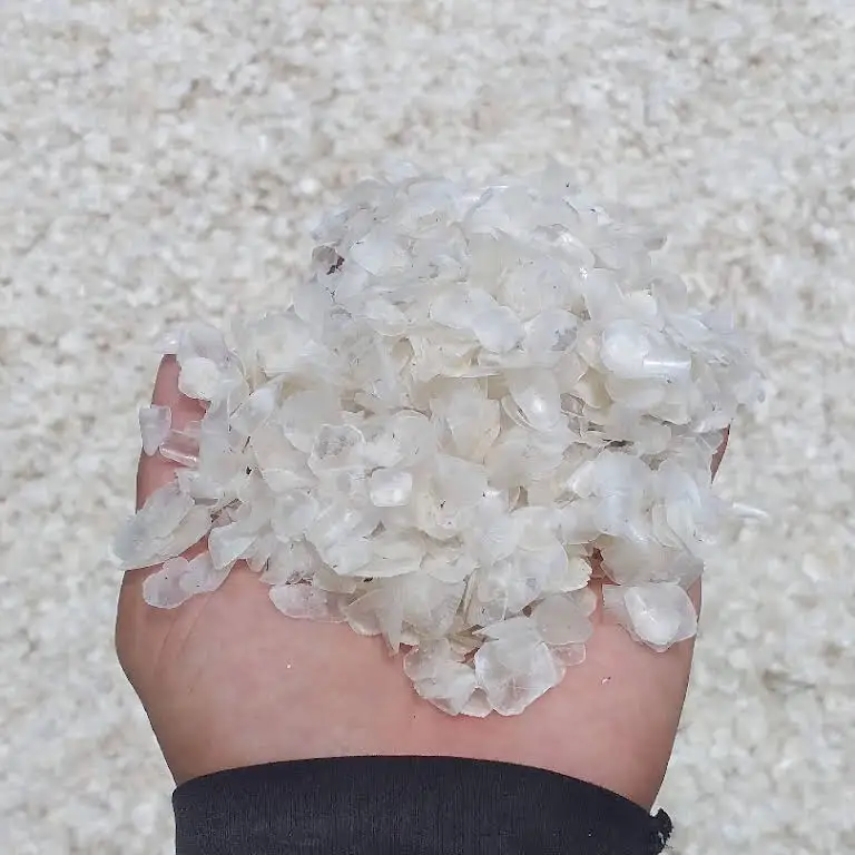 Wholesale Dried Fish Scales - Extract Collagen Efficiently