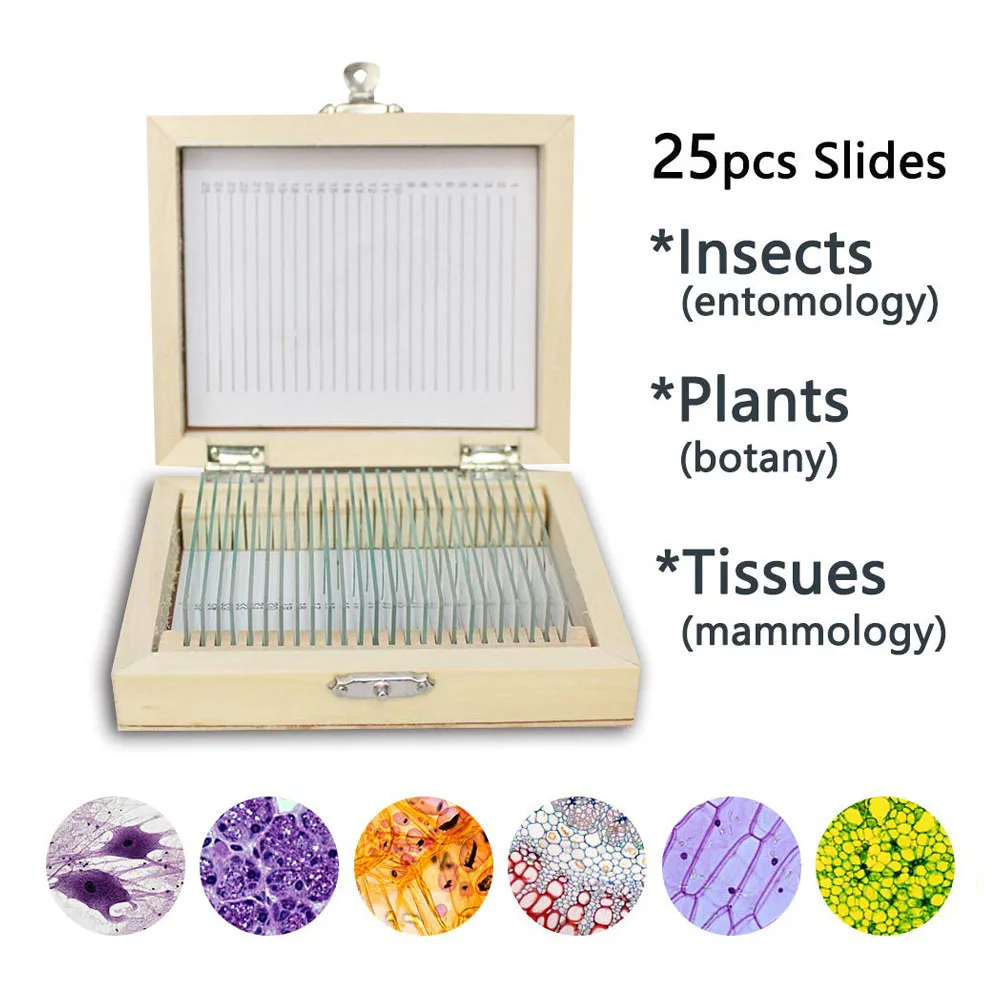 Laboratory Glassware Teaching Microscope Slides Microslides Biology ...