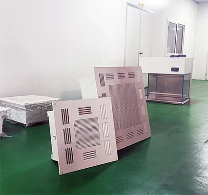 GMP Standard HEPA Filter Box for Lab Clean Room - Video Inspection