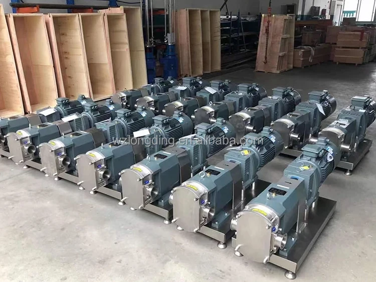Stainless Steel Sanitary Rotor Pump - High Viscosity Liquid Transfer