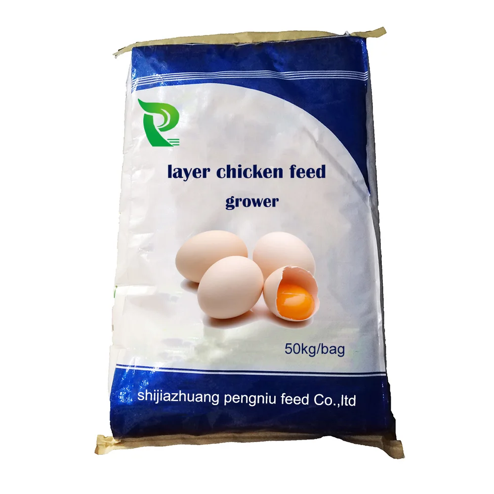 High Protein Chicken Layer Feed - Enhance Poultry Health