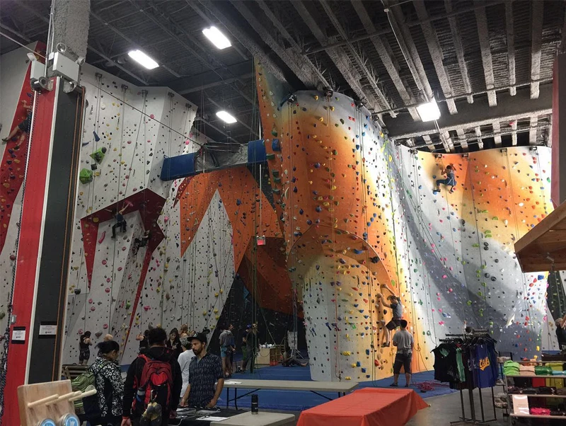 Indoor Rock Climbing Hang Finger Strength Training Beech Wood Hangboard ...