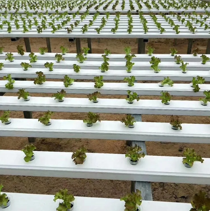 Hydroponic Planting PVC Tube - GS9568 for Home Gardens