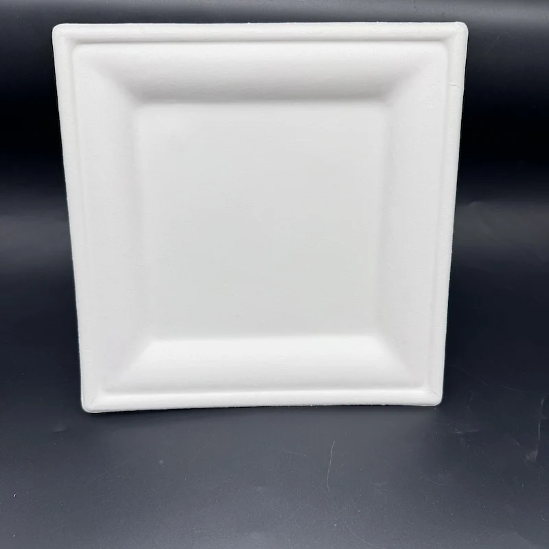 Sugarcane Plates Green Mark Sugarcane Square Plate Sugarcane Bagasse ...