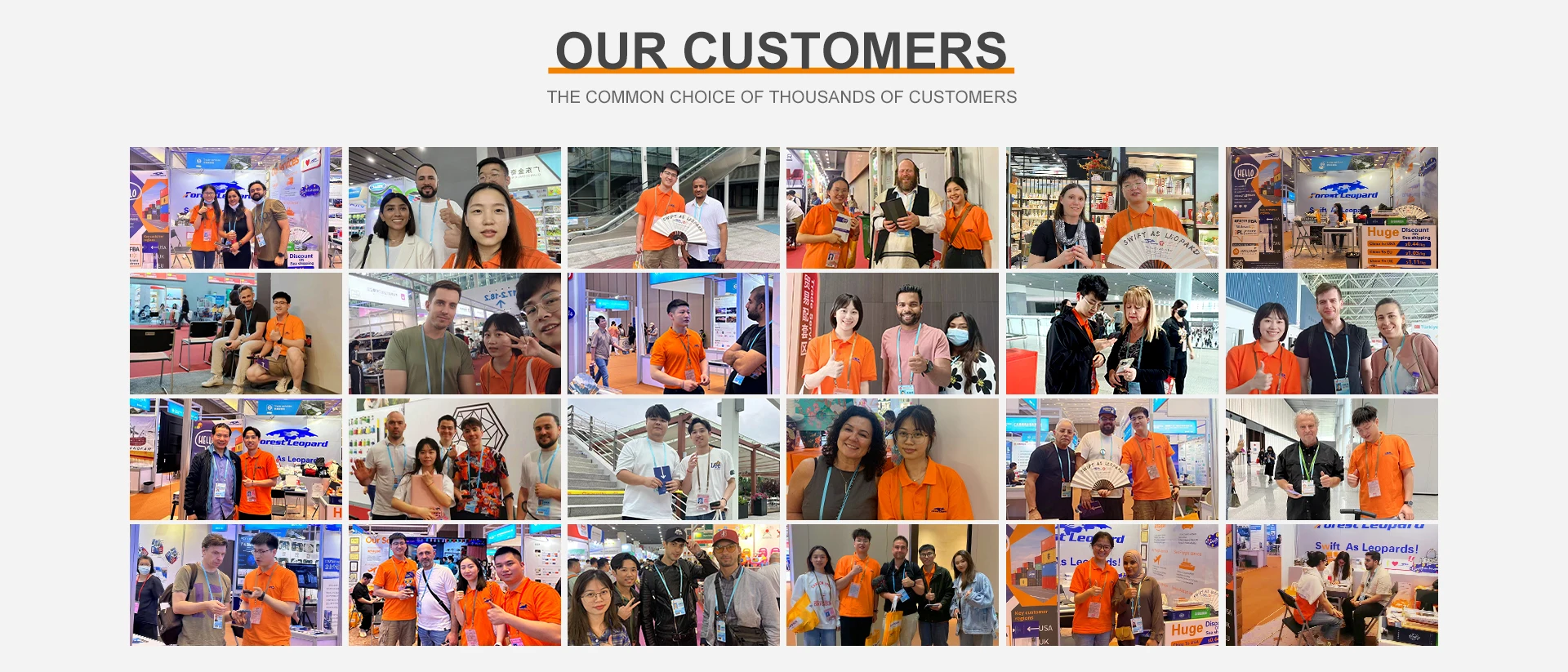 Company Overview - Forest Leopard International Logistics Co., Ltd.