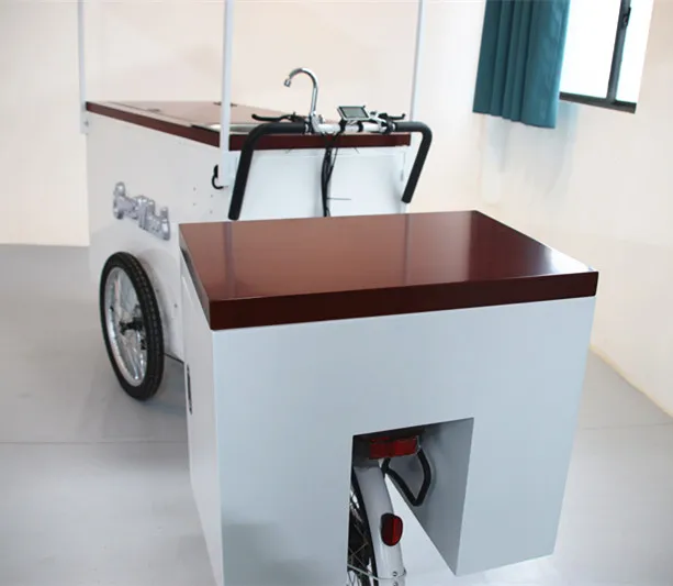 Ice Cream Bike with 258L Freezer - Perfect for Popsicles