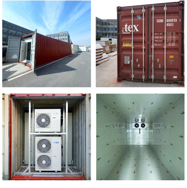 40ft Container Cold Room Cold Storage Fish - Buy Industrial Walk In ...