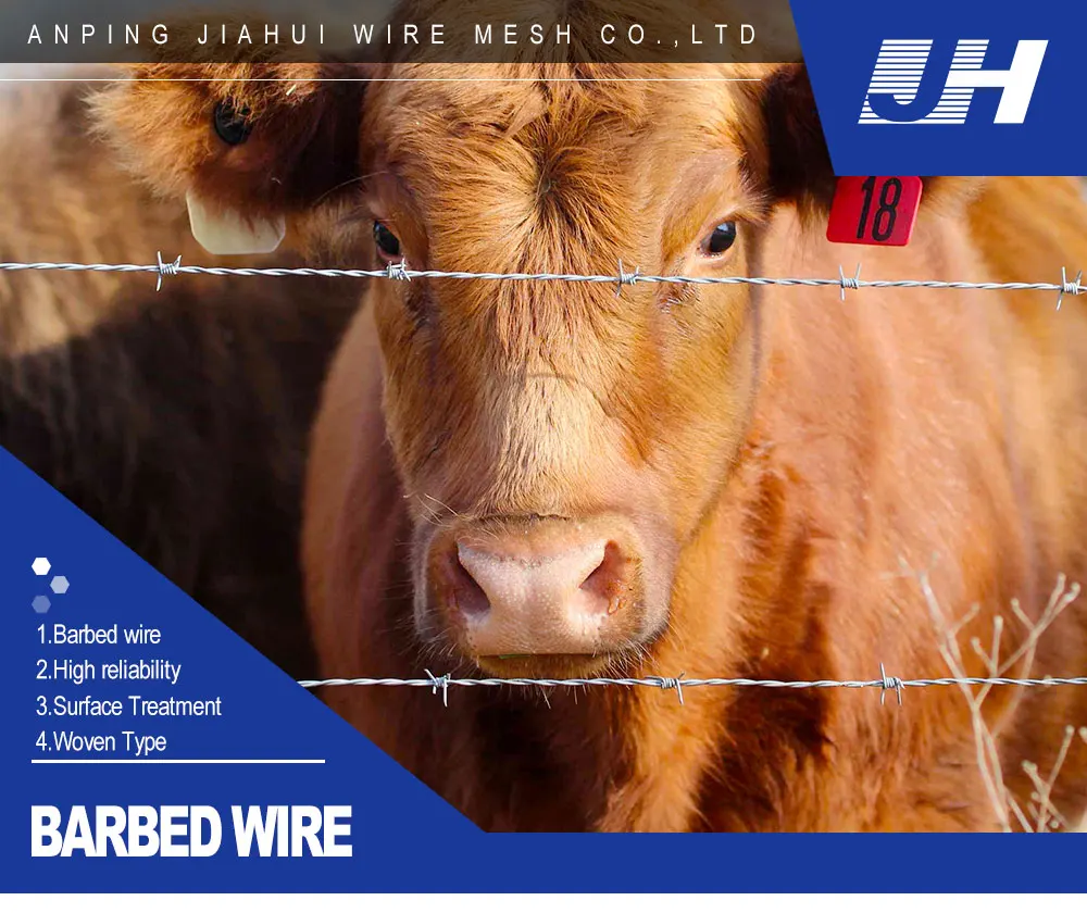 High Quality 50kg Barbed Wire Price per Roll - Durable & Secure