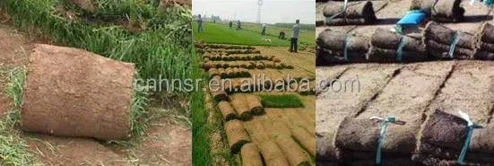 Lawn Sod Turf Rolling Cutter Lawn Mower Grass Cutting Machine - Buy ...