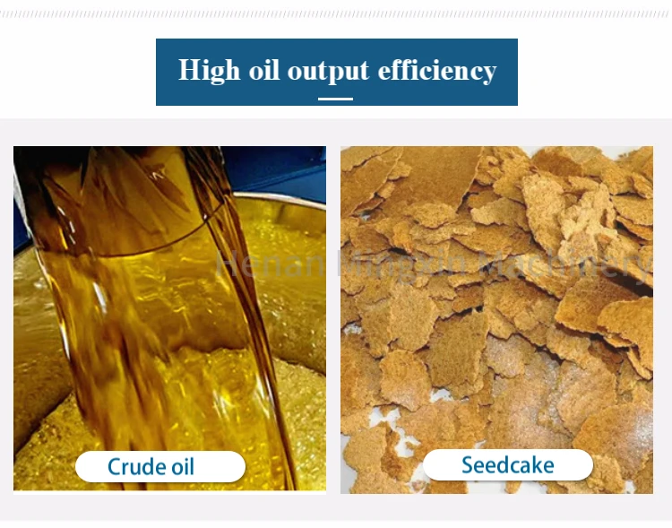 Commercial Cooking Oil Making Machine - Corn Germ Peanut Oil Press Machine