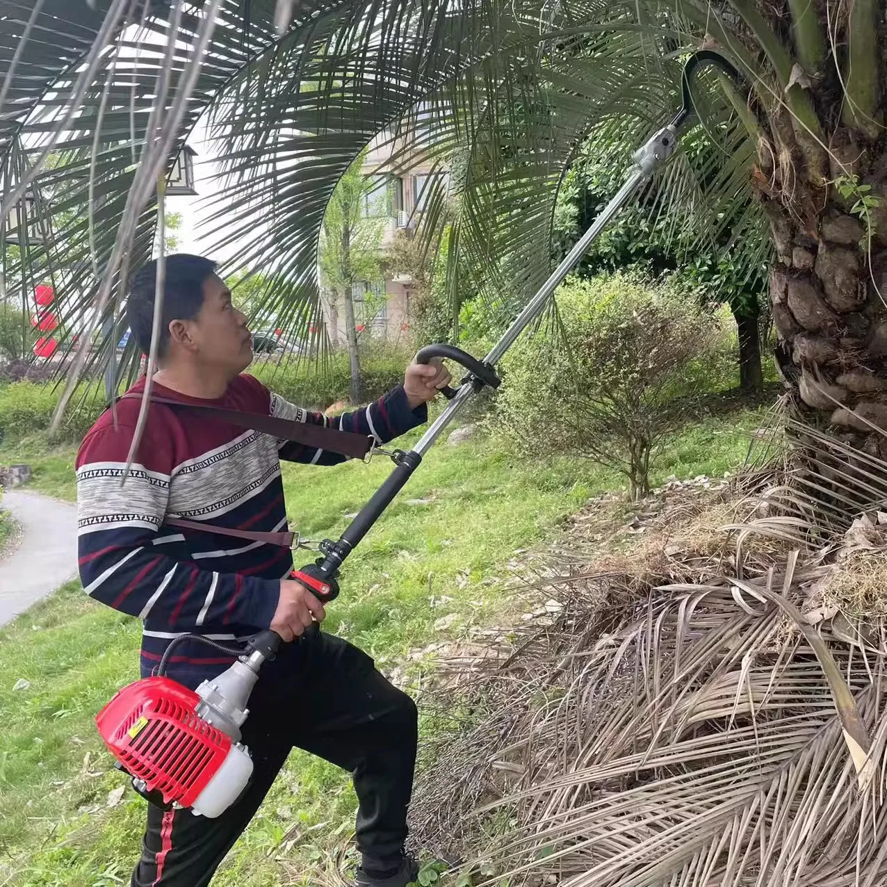 Gasoline Engine Driven Olive Fruit Tree Shaker Harvester