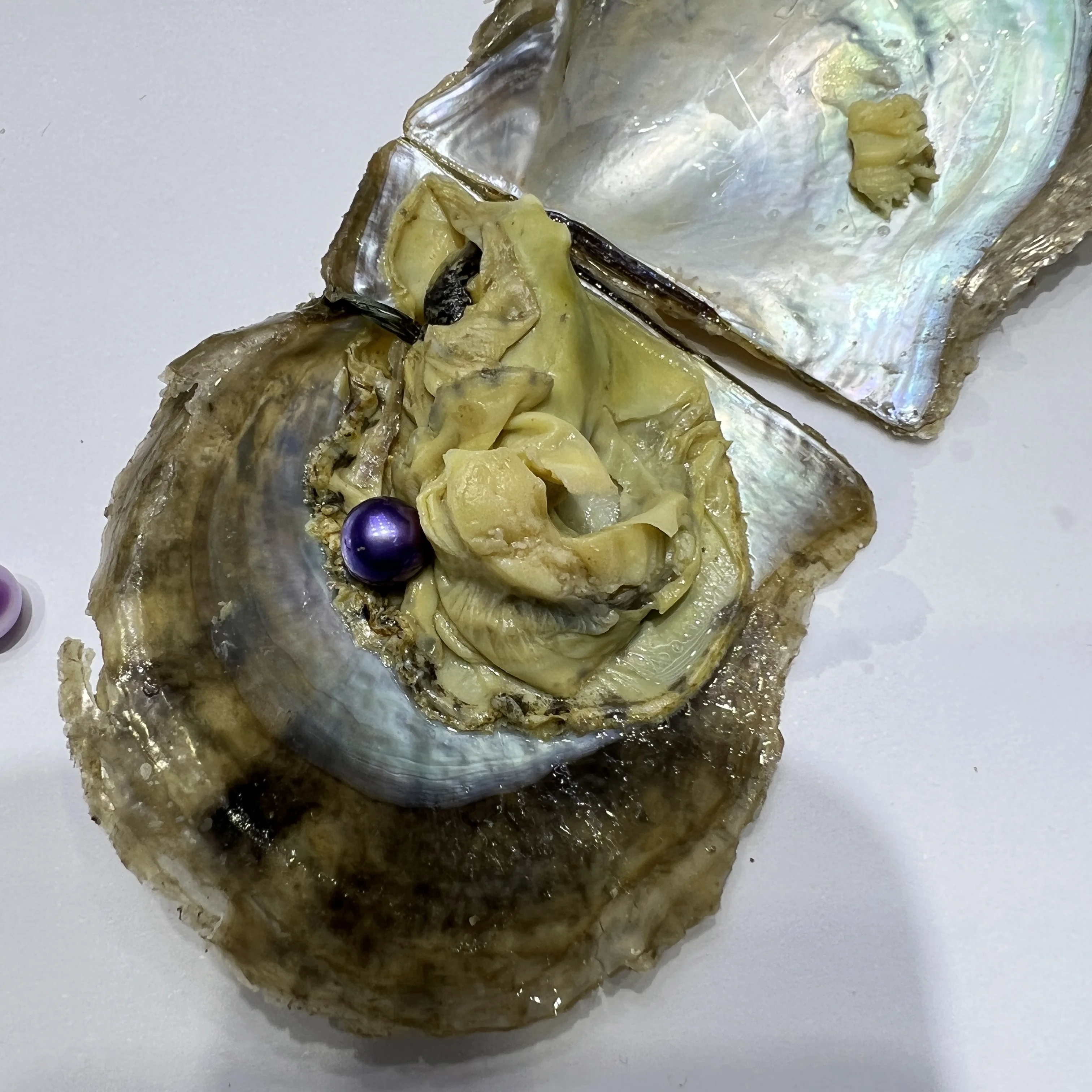 100pcs Mixed 7mm Colors Natural Freshwater Pearl Aaaaa Grade In Akoya ...