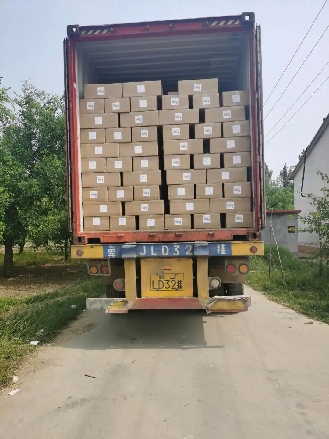 Galvanized Zig Zag Spring Wire Wire Formed Spring Snake Wire Spring For ...