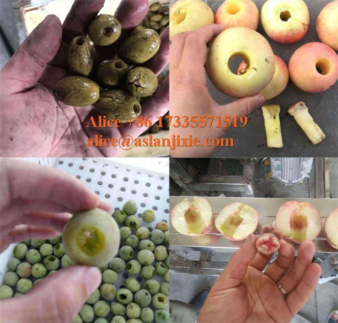 Hawthorn Fruit Seed Pitting Machine/ Cherry Seed Remover Cutting ...
