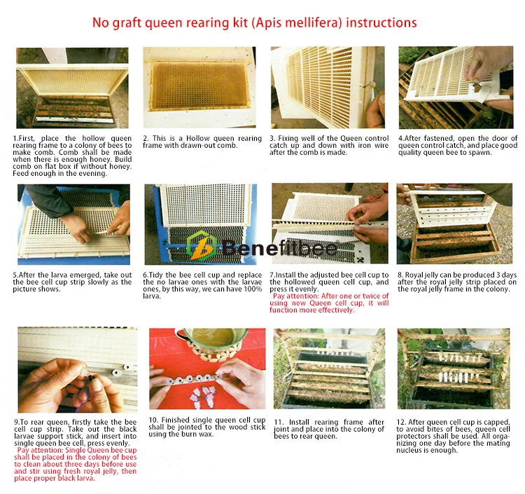 Benefitbee Queen Rearing Kit - Efficient Beekeeping Tools