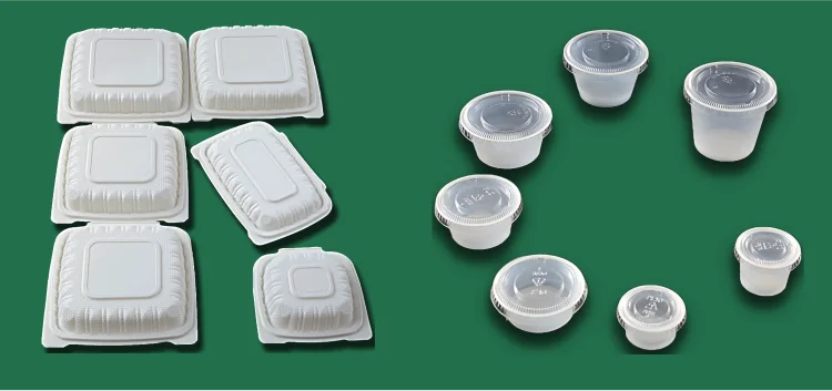 9 Inch Eco-friendly Disposable Lunch Box Environmental Takeout ...