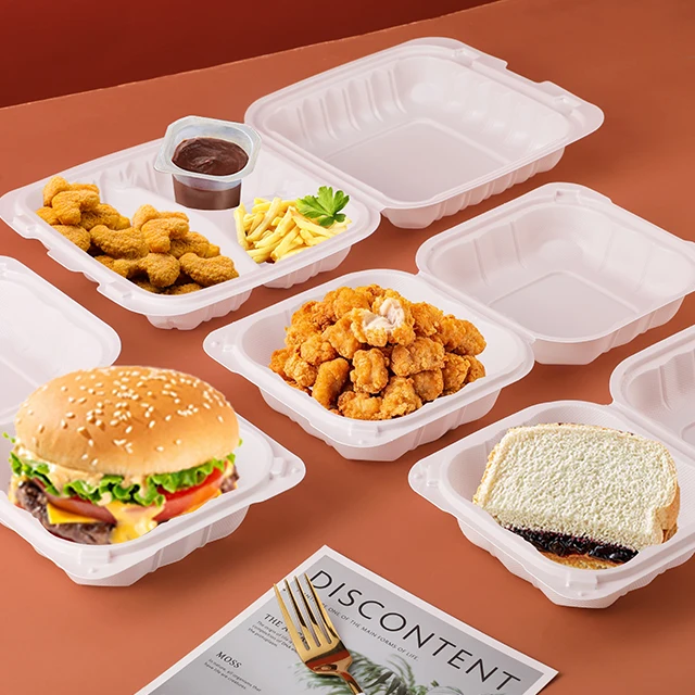 DG 6x6 6x9 8x8 9x9 Inch MFPP Hinged Container to Go Boxes