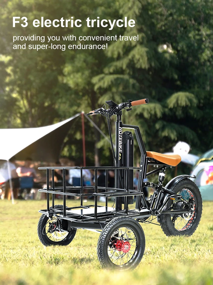 Electric Tricycle With Pedal Cargobike Adult 3 Wheel Electric Bicycle ...