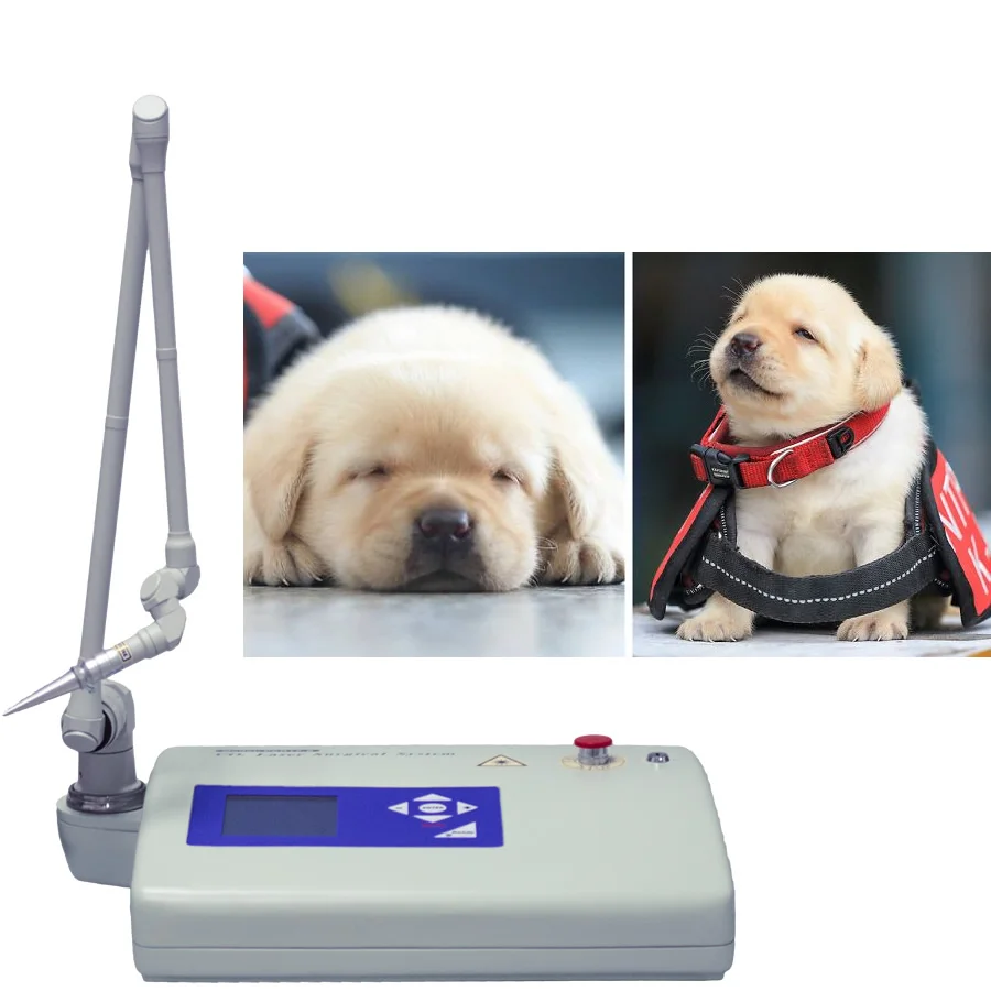 Veterinary Surgical Co2 Laser Machine Small Pets Surgical Instrument ...