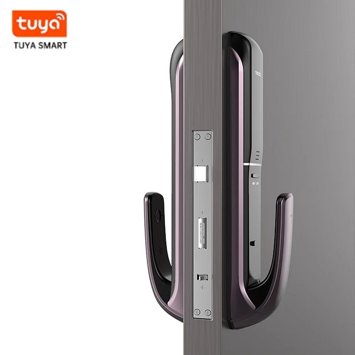 Tenon Tuya Digital Keypad Door Lock Biometric Fingerprint Intelligent ...