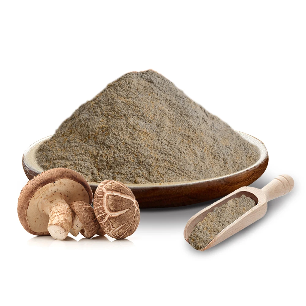 Organic Mix Mushroom Extract - High Quality Herbal Powder