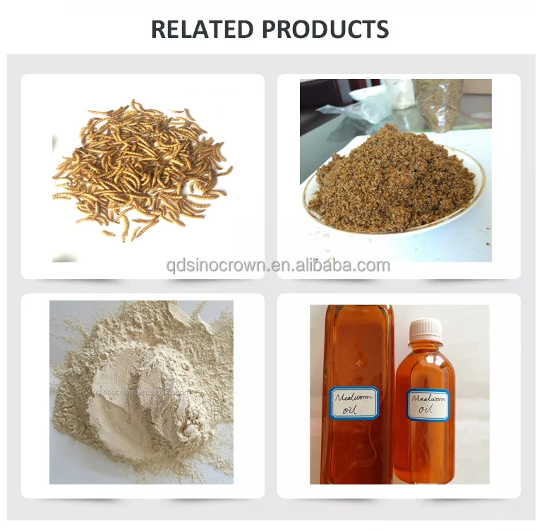 Black Soldier Fly Larvae Dried Powder Bsfl With Black Soldier Fly Net ...