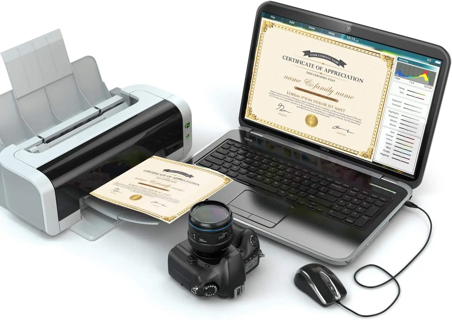 Custom Gold Foil Certificate Paper with Metallic Border - OEM