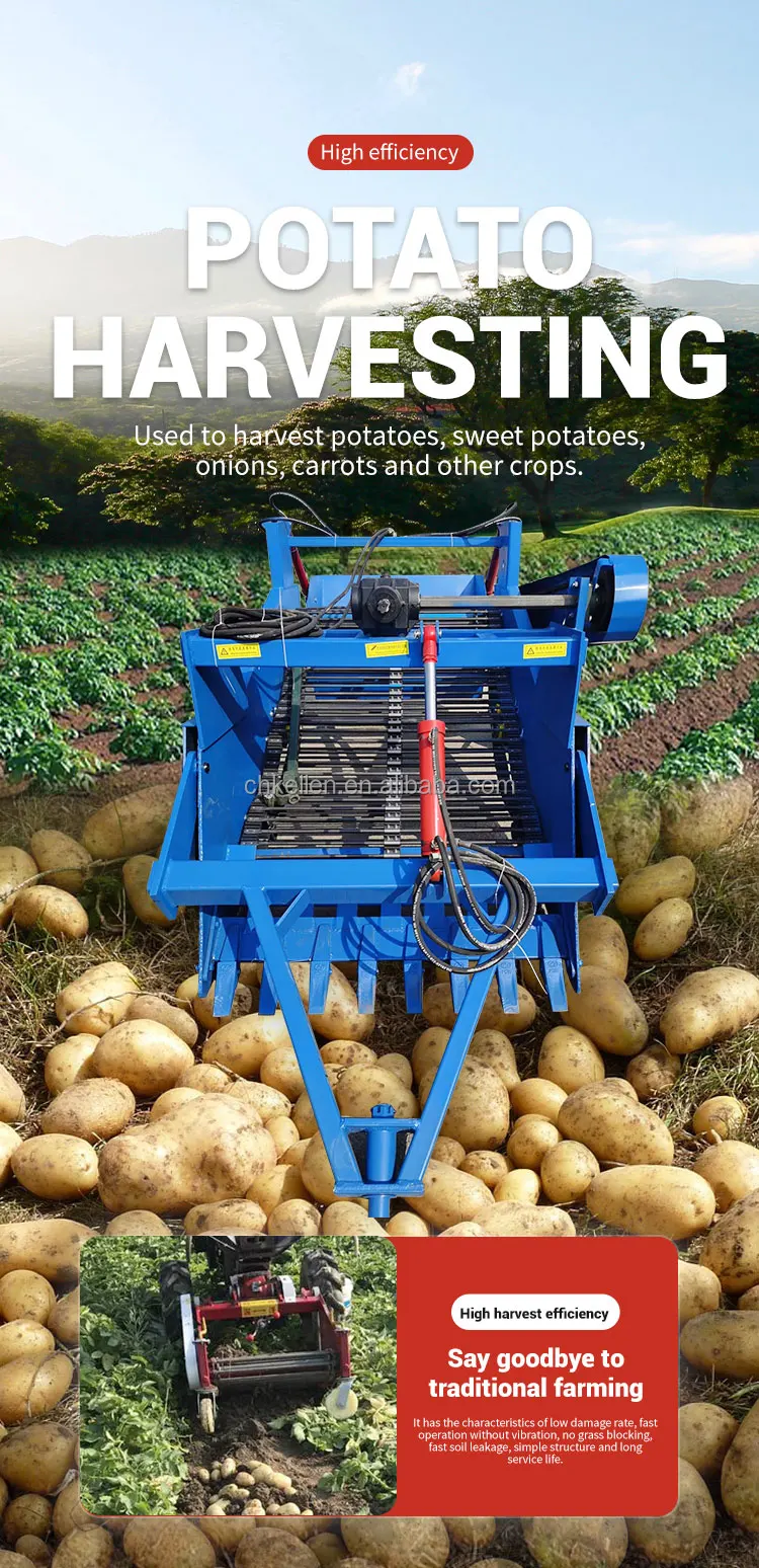 3 Point One Row Potato Digger for Tractors Single-row Potato Harvesting ...