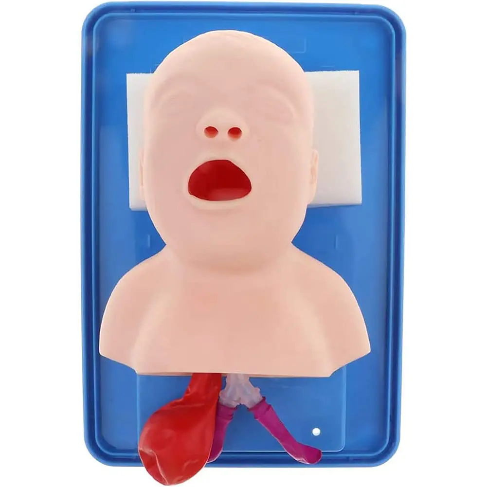 KyrenMed Advanced Pediatric Trachea Intubation Model Neonate Newborn ...