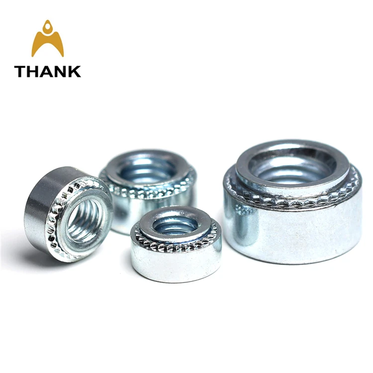 Stainless Steel Galvanizing Self-clinching Rivet Presses Nuts S SS CLS ...