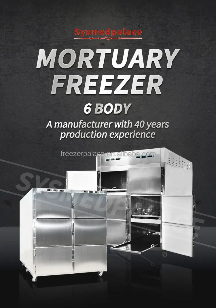 Sysmedpalace Morgue Freezer - 6 Cabinet Mortuary Refrigerator