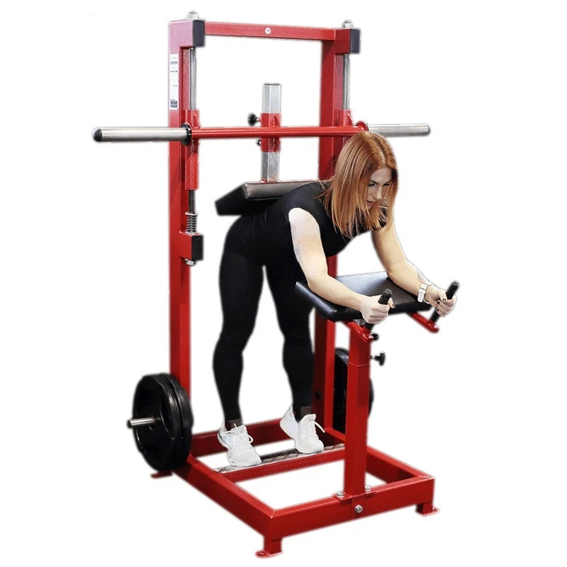 Longotech Gym Fitness Equipment Pin Loaded Select Calf Muscle Exercise ...