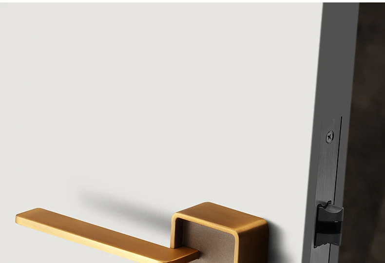 Modern Designed High Quality Interior Door Locks & Handles