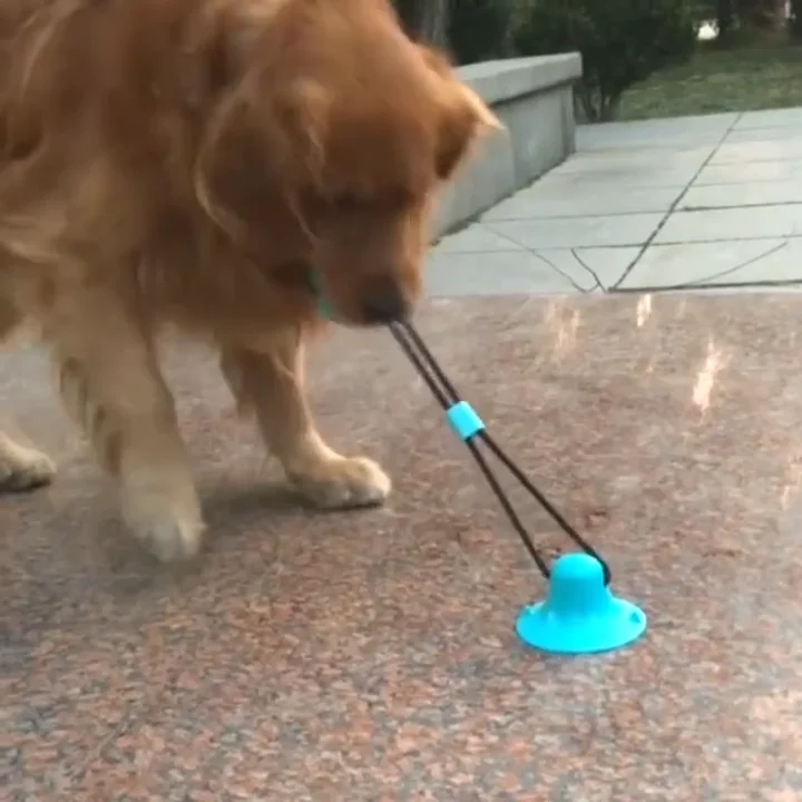 Hot Sale Spherical Dogs Molar Dog Teether Chew Toy Toothbrush Ball Chew ...