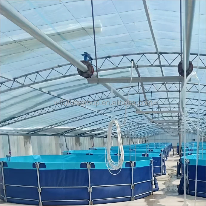 Rectangular Galvanized Pipe Fish Farming Tank System High Yield Large ...