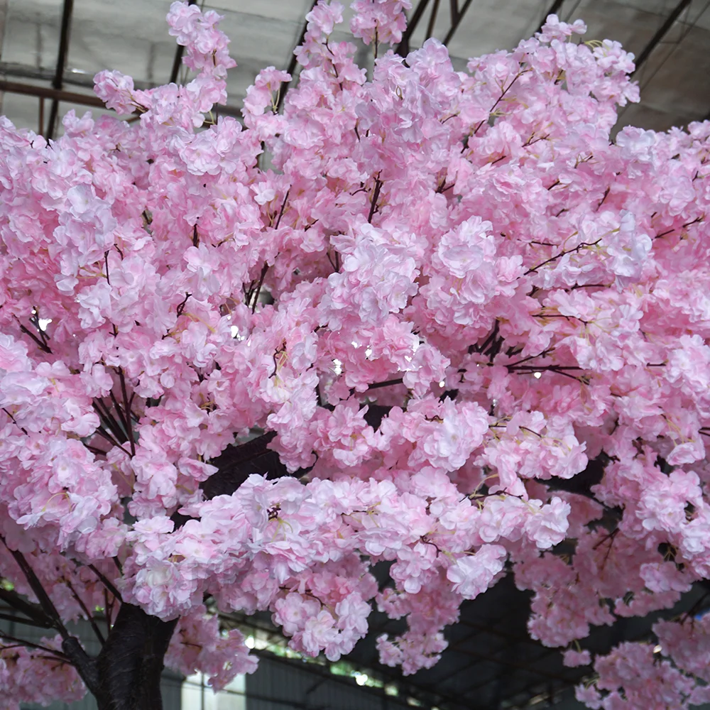 Outdoor Flower Japanese Sakura Tree - Wedding Centerpiece