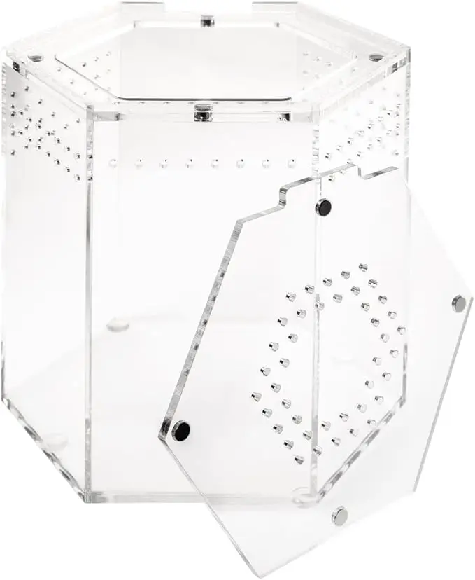 Polished Surface Acrylic Tarantula Enclosure T-Hex 5.79 x 5.39 x 5.39 ...