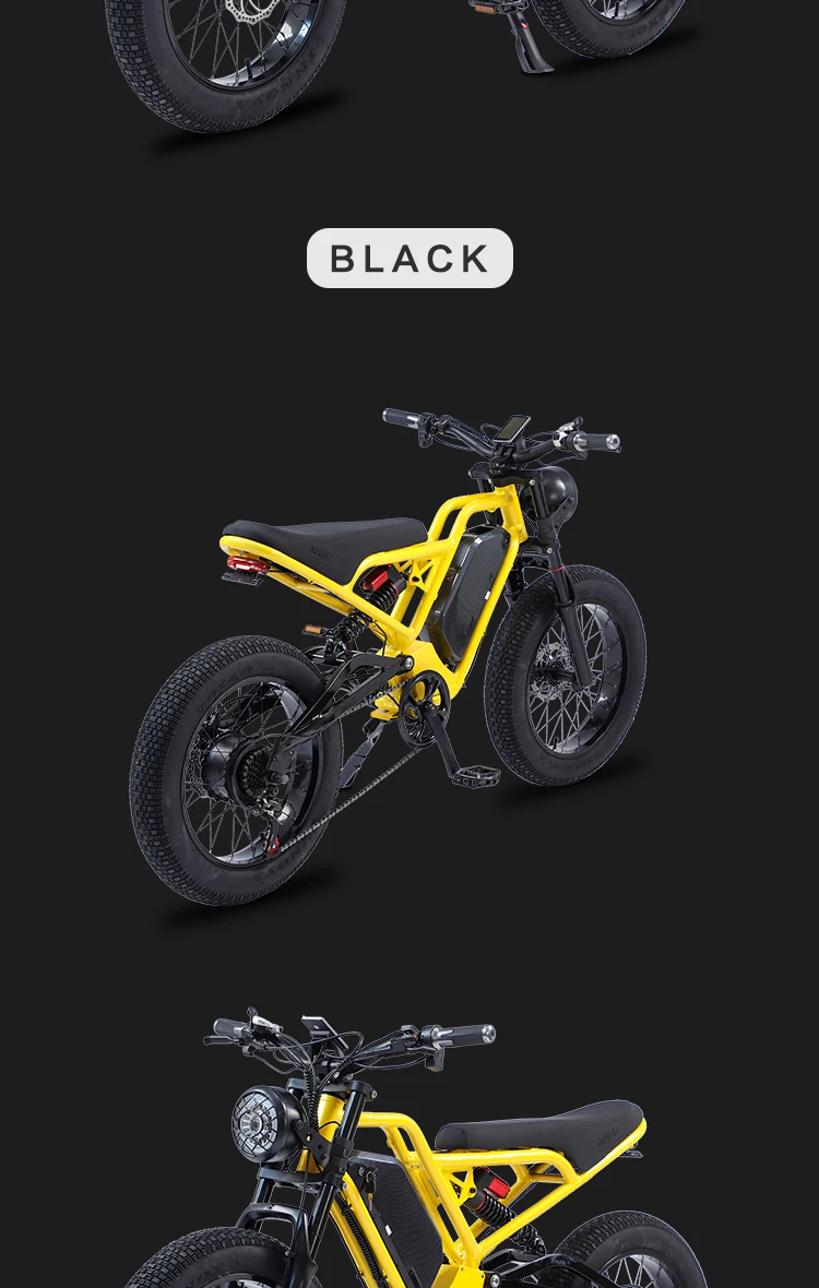 2023 Fatbike V20 Electric Fat E Bike Aluminum Upgrade Ebike 250w 750w ...