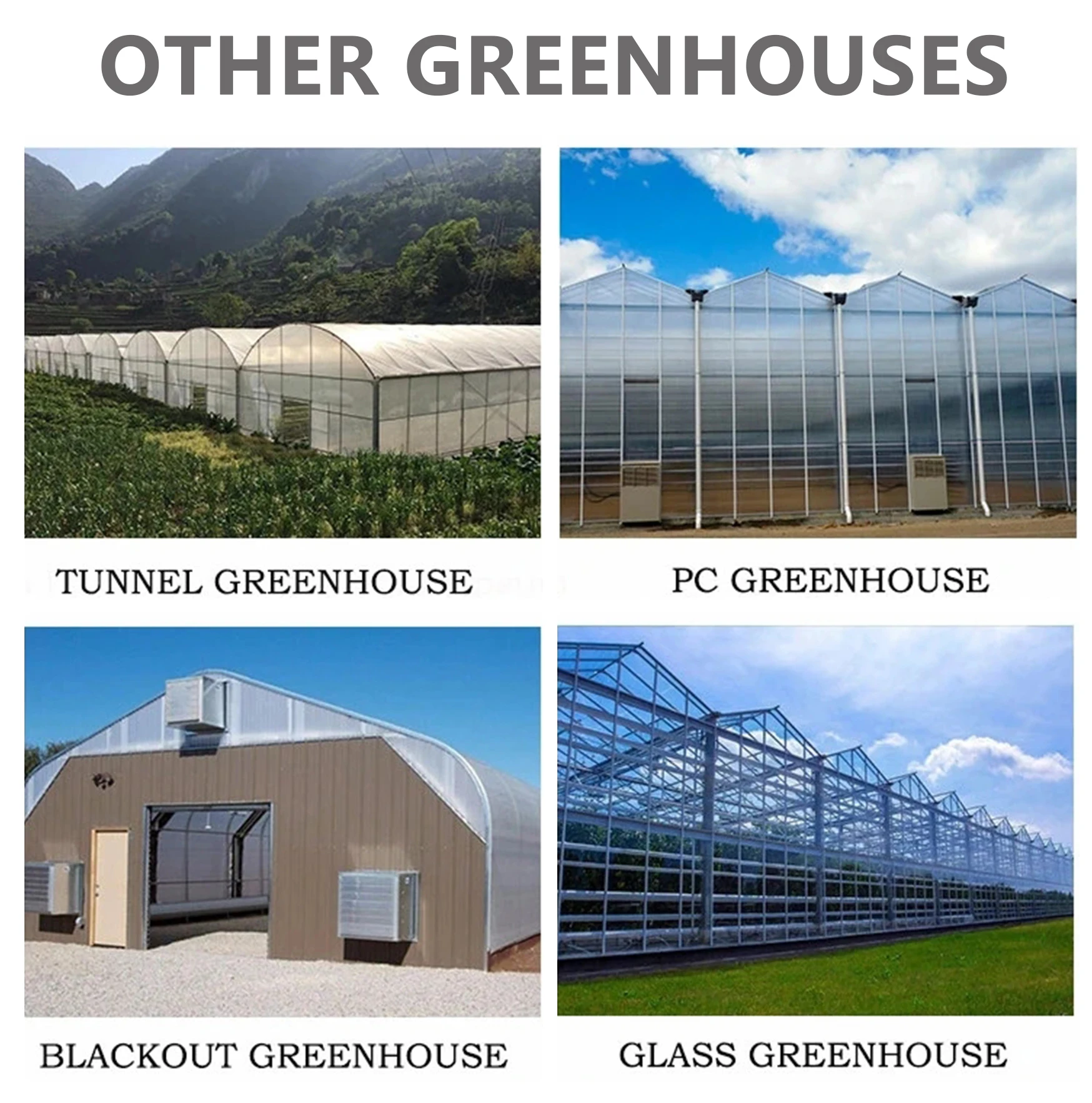 Home Garden Pc Greenhouse Polycarbonate Natural Greenhouses For Plant ...
