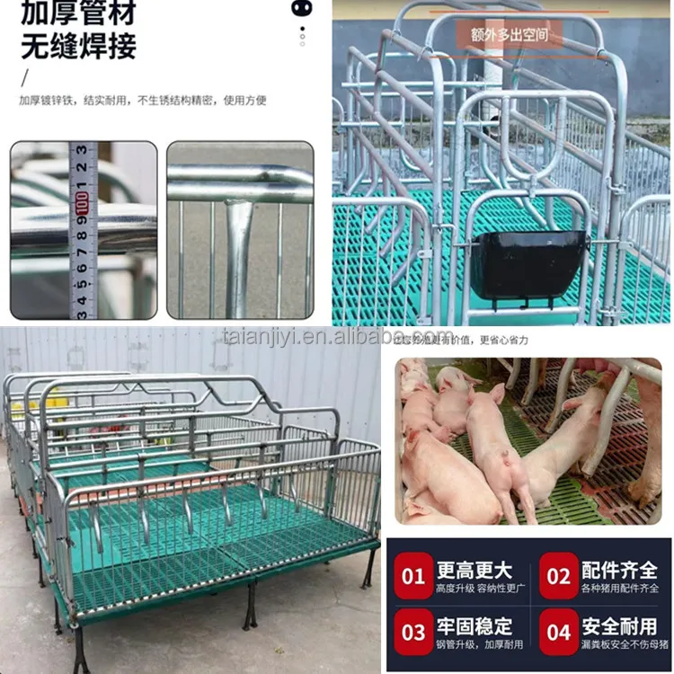 Pig Sow Gestation Positioning Column Pig Gestation Crate Piggery ...