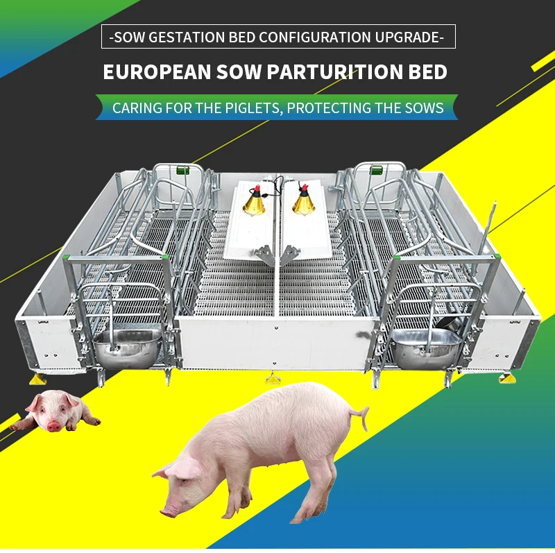 EU European Type Farrowing Pen Cage for Pigs Farm Double Size