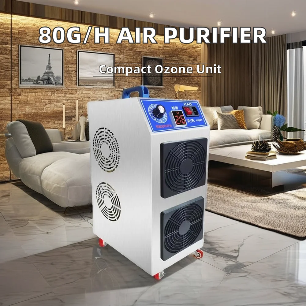 Portable 80g/H Ozone Generator for Air Disinfection Electric Power ...