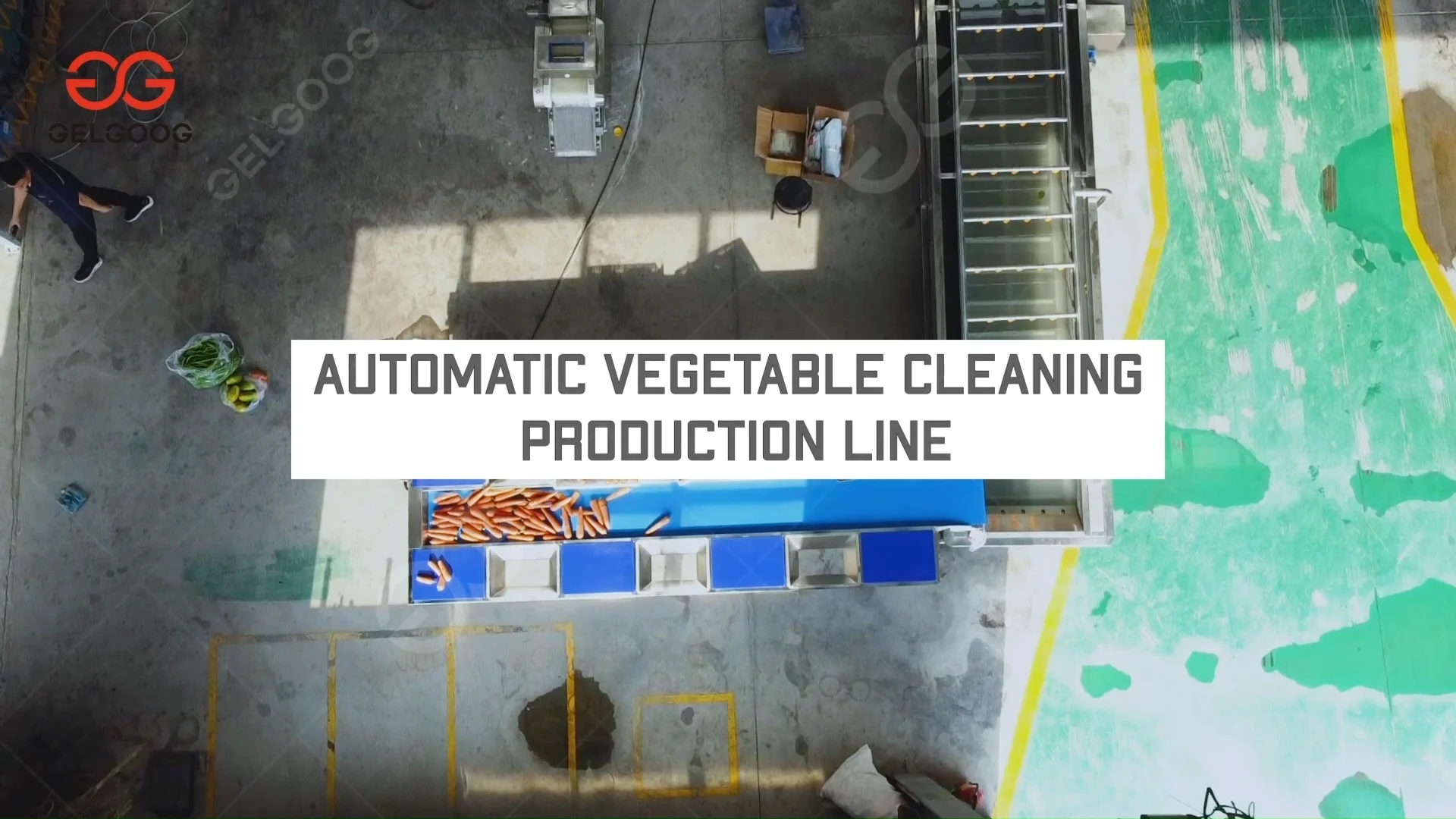 Tomato Sorter Grading Sorting Machine And Wash Tomato Wash Sort Grade ...