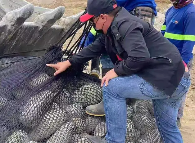 2T, 4T, 6T Polyester Rock Filter Bags for Erosion Control