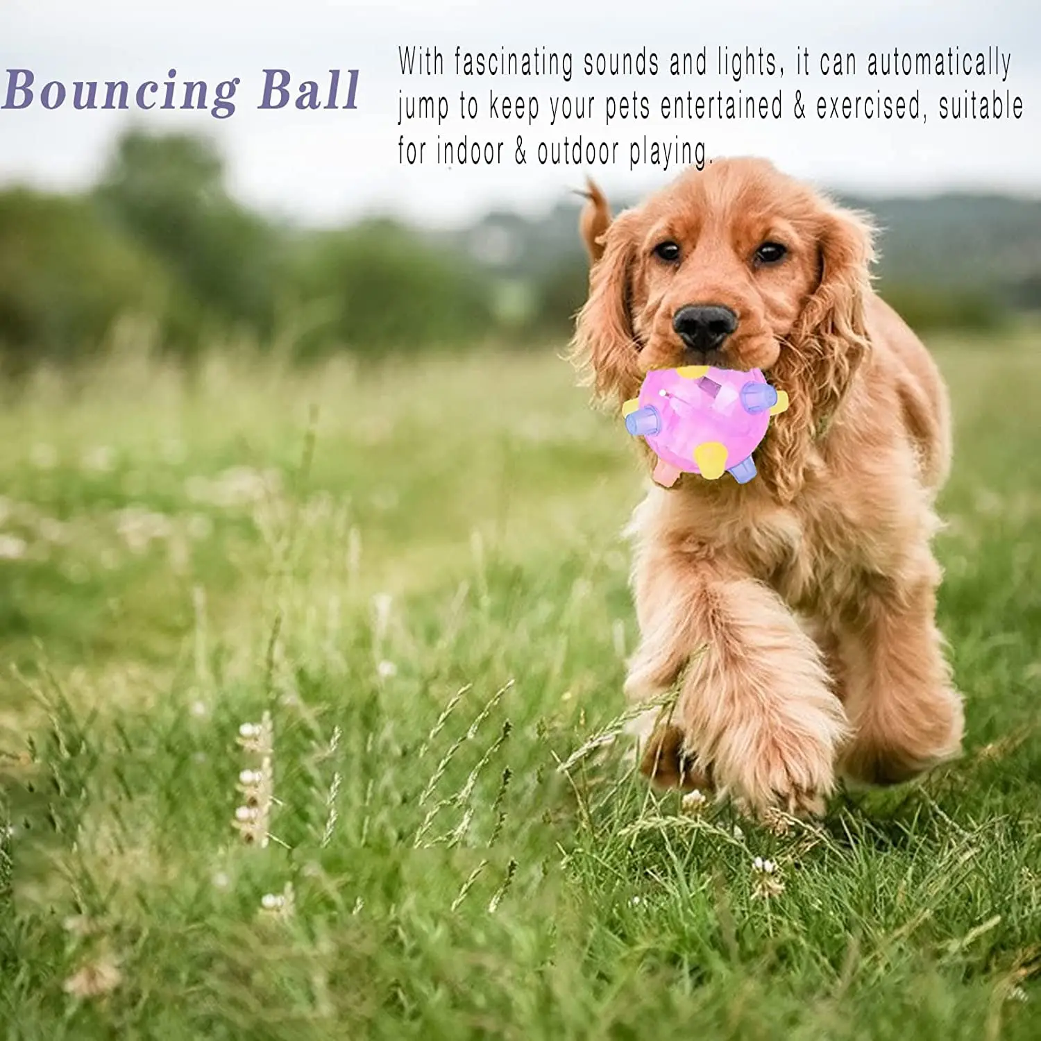 Led Light Up Pet Toy Ball With Music Flashing Bouncing Vibrating Ball ...