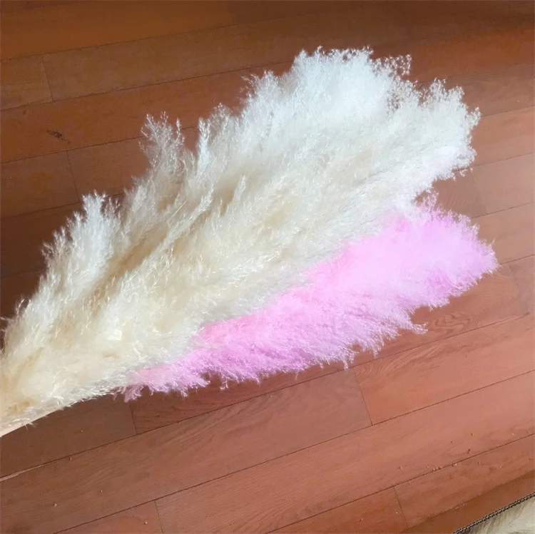 BOHO Wedding Large Plume Natural Real Preserved Dried Pampas Grass