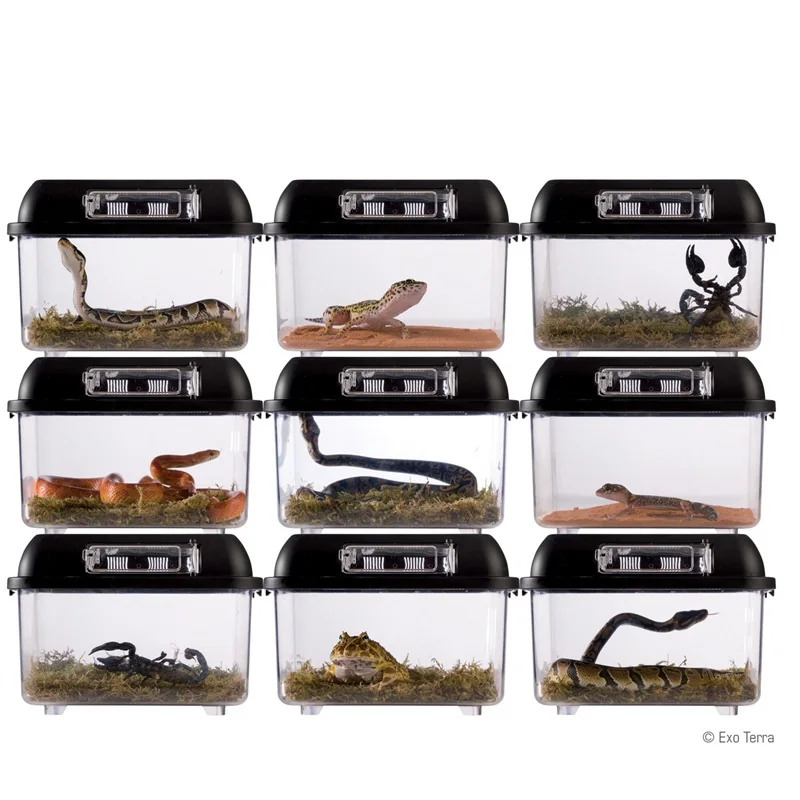 Plastic Pet Box Reptile Box Snake Enclosures Cages Terrarium Reptile ...