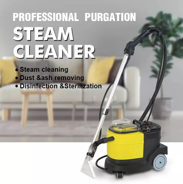 Gaoge Lp-3 Steam Carpet Powerful Sofa And Carpet Extractor Cleaning ...