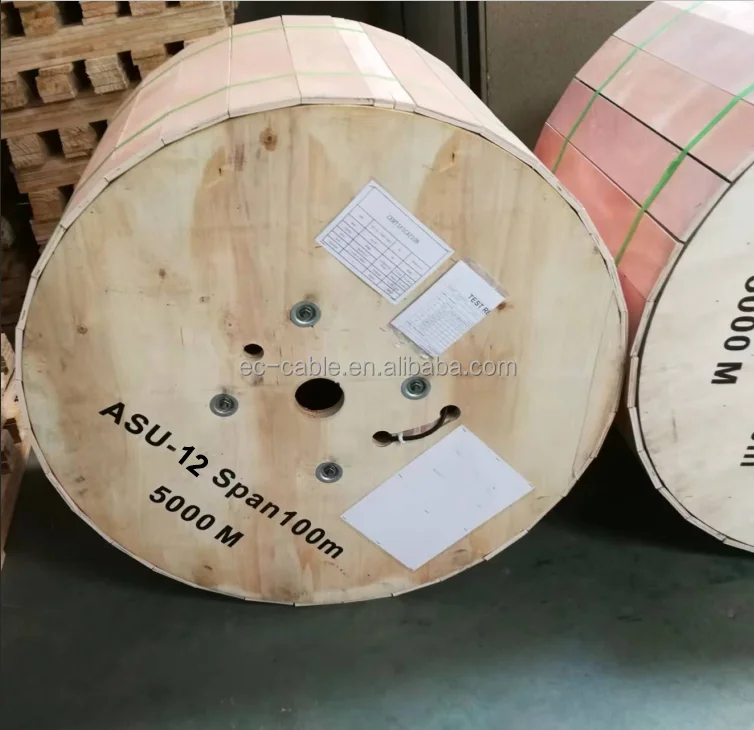 12 Core All-Dielectric Fiber Optic Cable - 100M SPAN