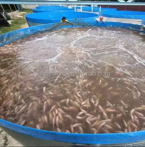 SDM Collapsible PVC Tarpaulin Fish Farming Tanks Indoor Outdoor Biofloc ...